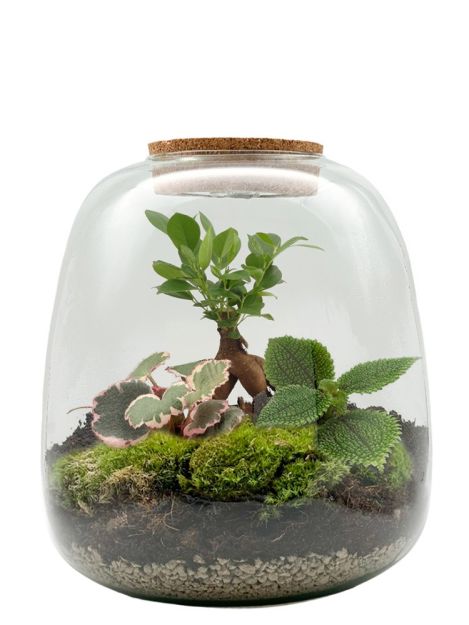 Mix & Match Flaschengarten